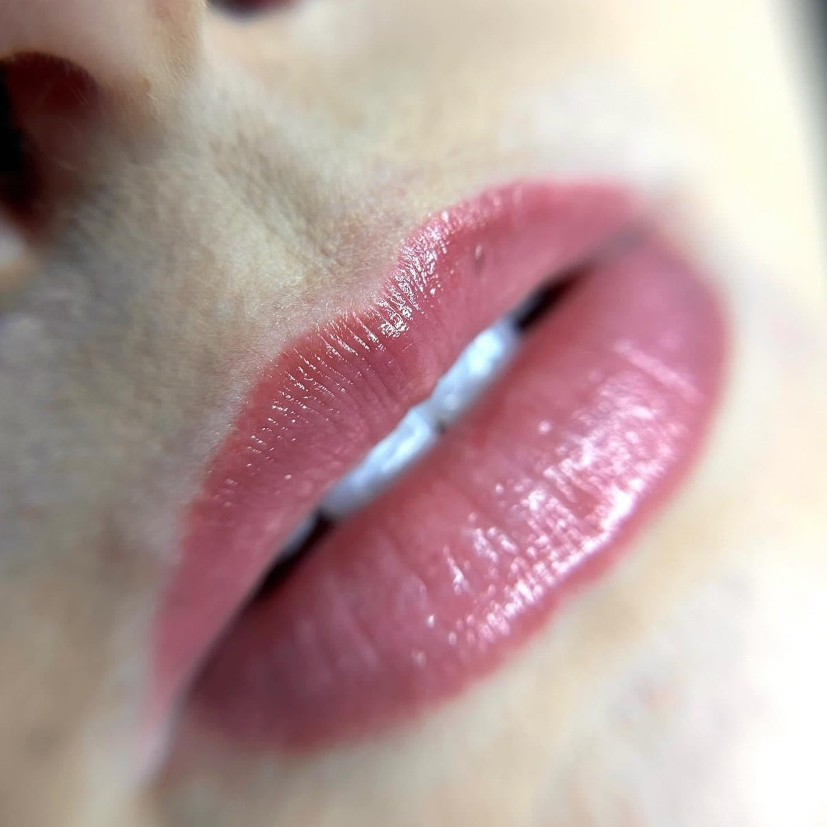 No Filter Lip Pigment Set | Lip Blush Authority